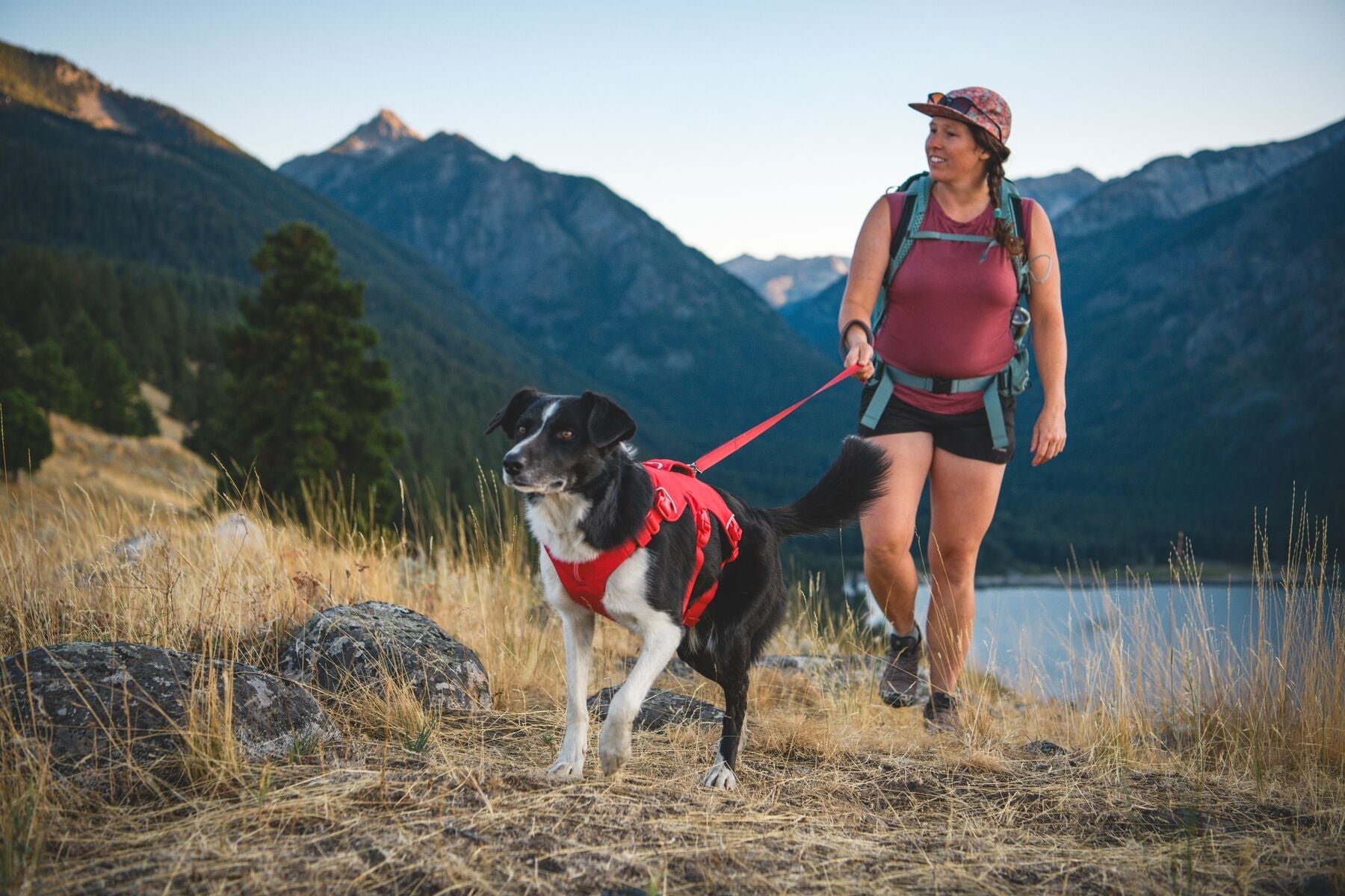 Sizing & Fitting Your 2025 Ruffwear Web Master Harness – Mountain Dog