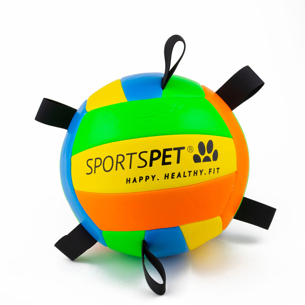 Dog Balls | Durable & Fun Activity Balls | Mountain Dog UK